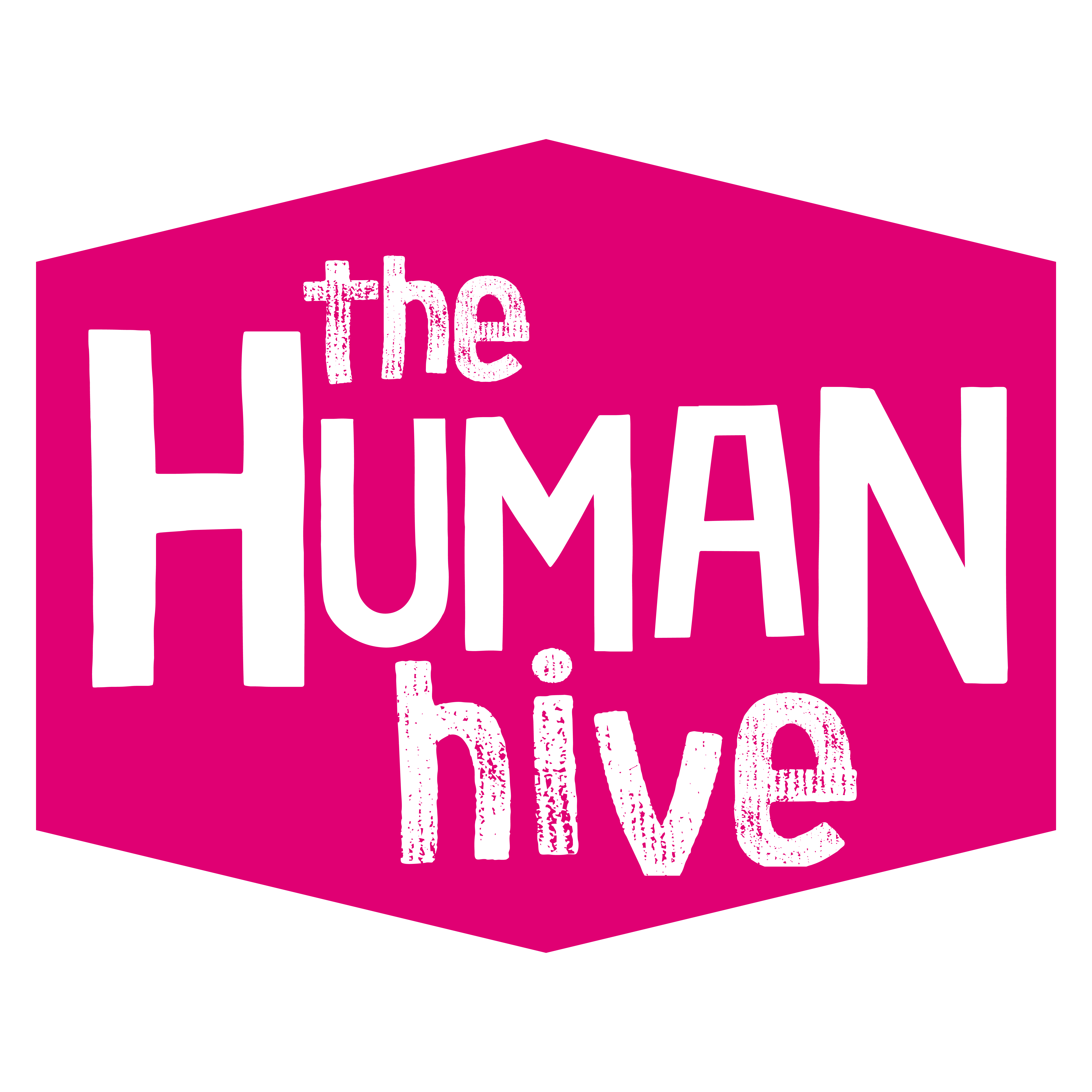 Introduction Programme to Hive Education