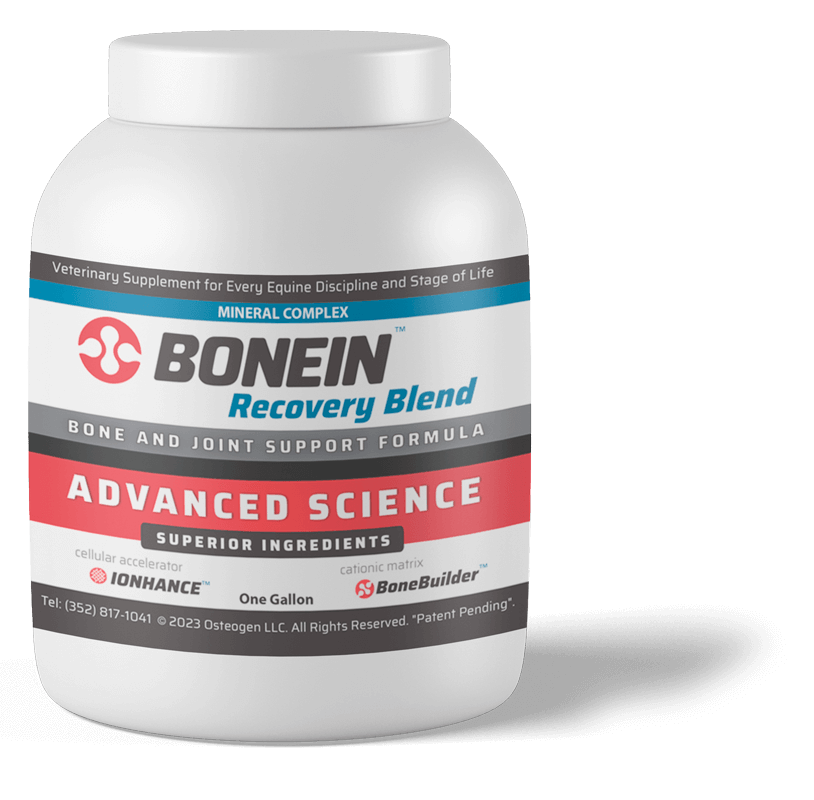 Osteogen BONEIN bone & joint support